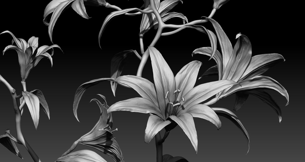 Zbrush ～Lily～ – PERKUP